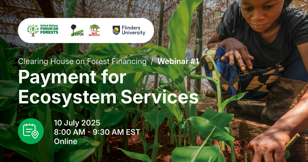 Clearing House on Forest Financing - Webinar #1 | CIFOR-ICRAF